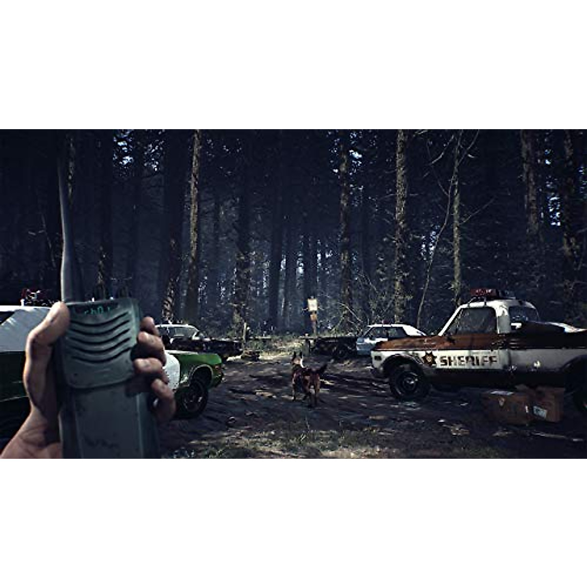 【2020年夏発売予定】ブレア・ウィッチ 日本語版 初回限定版
