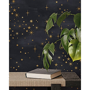 Coloritto Starry Night Peel and Stick Wallpaper | Removable Self Adhesive Space Wallpaper | Kid's Room Interior | Peel and Stick Wallpaper (Sample 12" W x 8" H)