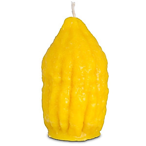 SHALHEVET LIGHT Havdalah Candle - Etrog Shaped | Elegant Jewish Candle for Havdalah | Kosher Wax, Handcrafted Design, Long-Burning | Unique Etrog Candle for Jewish Traditions & Shabbat End