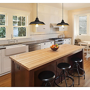 Westinghouse 6344700 Iron HIL Pendant, One Light, Oil Rubbed Bronze/Bronze