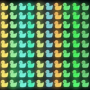 DULEFUN 200pcs Luminous Mini Resin Duck 10 Colors Little Small Ducks Glow in The Dark Duck Figures for Dollhouse Aquarium Decor Micro Fairy Garden Landscape Hide and Seek Prank Toys