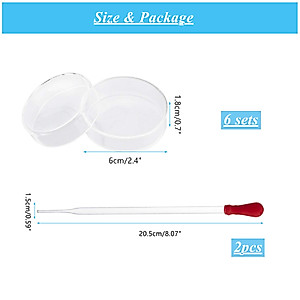 OLYCRAFT 6PCS Glass Petri Dishes High Borosilicate Glass Bacterial Culture Dishes with Lid 60mm Dia x 18mm Deep with 2pcs Glass Culture Plate for Laboratory School Science Project