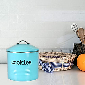 Home Basics 4.2 Liter Large Cookie Jar (Turquoise) Cookie Jars For Kitchen Counter | Cute Cookie Jar With Lid
