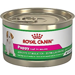 Royal Canin Canine Health Nutrition Puppy Loaf in Sauce Canned Dog Food, 5.2 oz Can (Pack of 24)