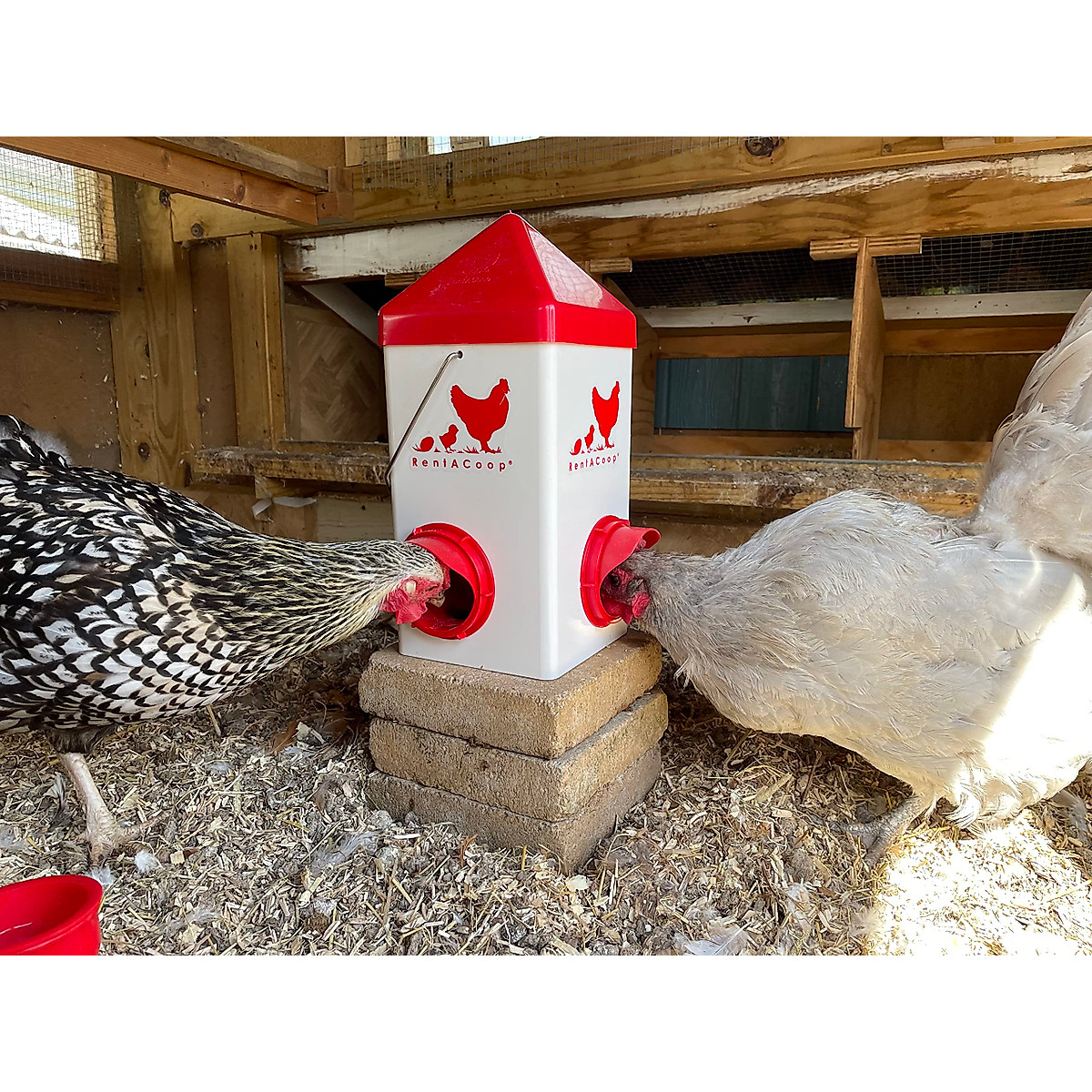 RentACoop Chick2Chicken 5lb 2-Port Feeder - Includes Anti-Roost Lid and Slider Port Covers - Suitable for Quail, Pigeons, Doves, Chicks, and Adult Chickens