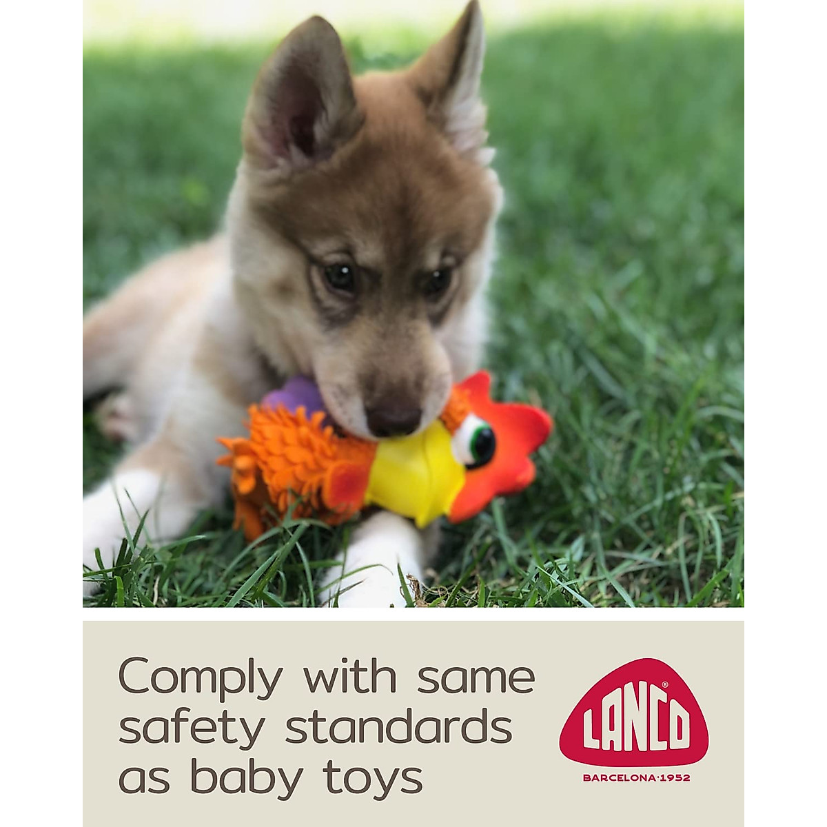 Puppy Toys - Squeaky Dog Toy - Natural Rubber Latex - Sensory Dog Toy - 5" Tall - Medium Breeds & Puppies - Complies with Same Safety Standards as Baby Toys