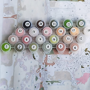 Tangbr Paint by Numbers for Adults, DIY OIL Painting by Numbers Flowers Kits on Canvas Without Frame 16x20 Inch (40x50cm)