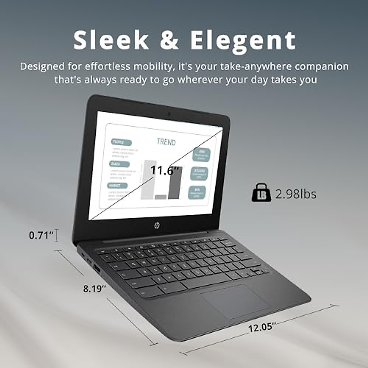 HP 2022 11.6" HD Display Chromebook Laptop, Intel Celeron Processor N3350, 4GB RAM, 32GB eMMC, Intel HD Graphics 500, HD Webcam, HD Audio, USB-C, Chrome OS, Gray, 32GB SnowBell microSD Card