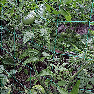 Trellis Netting for Climbing Plants - Heavy Duty Garden Trellis Netting for Cucumber, Vine, Fruits & Vegetables Tomato Plants Trellis Net, Climbing Vining Plants (16.4' x 6.6'Ft)
