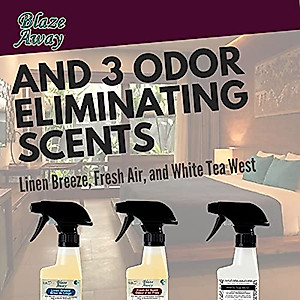 Blaze Away Commercial Air Freshener/Odor Eliminator & Smoke Neutralizer Spray - Professional Odor Removal - Cleans Strong Odors on a Molecular Level - Long Lasting Fresh Air Scent - 16oz Sprayer