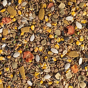 Kaytee Fiesta Naturals Hamster and Gerbil Food, 2.5 lbs.