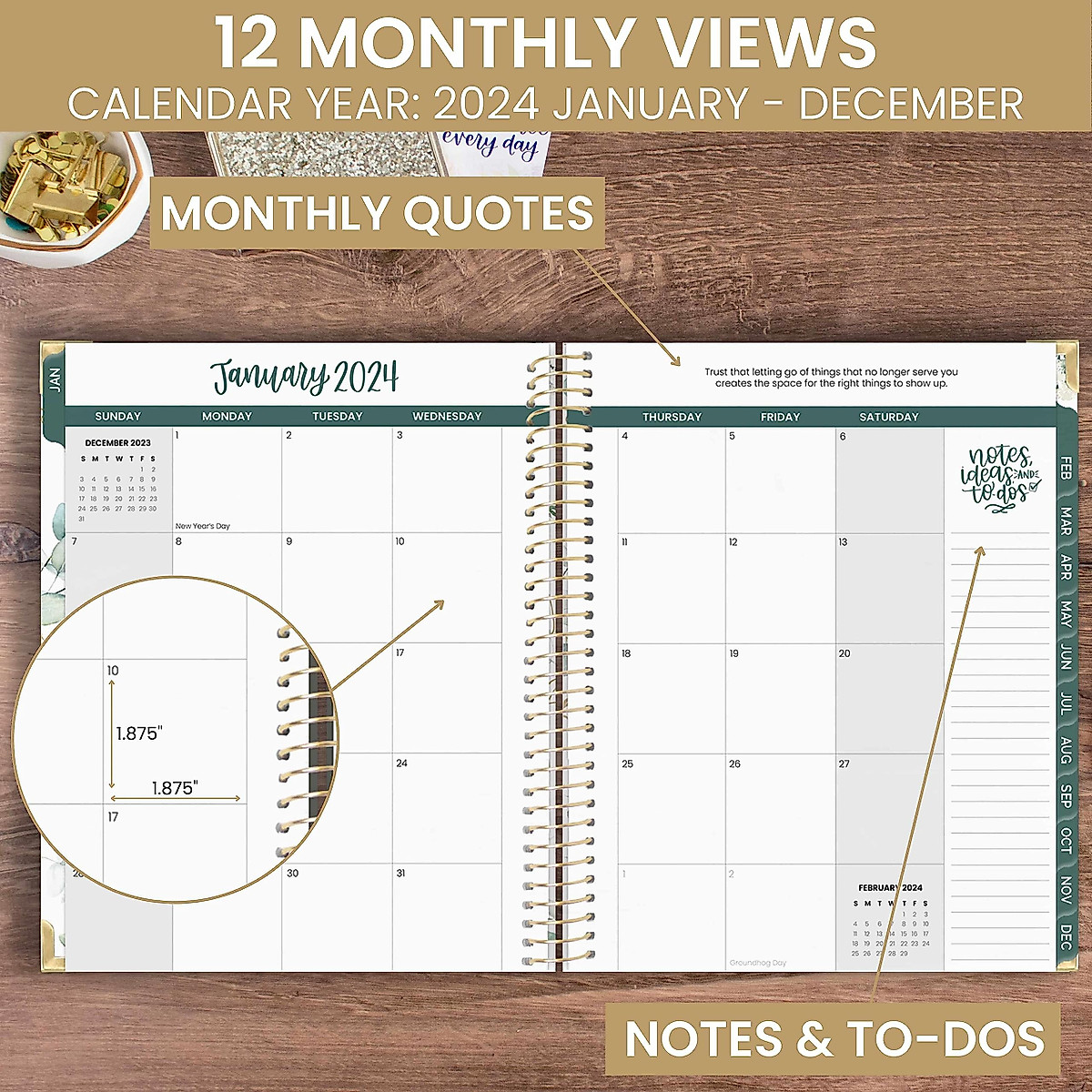 HARDCOVER bloom daily planners 2024 (8.5" x 11") Calendar Year Day Planner (January 2024 - December 2024) - Passion/Goal Organizer - Monthly & Weekly Inspirational Agenda Book - Eucalyptus