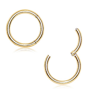 Gold Plated WildKlass Seamless Clicker Ring 316L Surgical Steel (14g 10mm)
