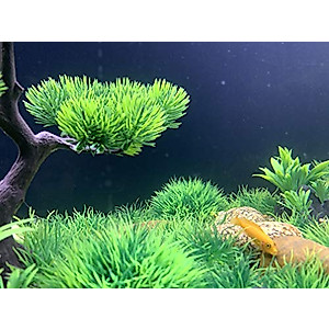 40 Pcs Artificial Small Water Plants, Fish Tank Aquarium Grass Decorations, Made of Soft Plastic