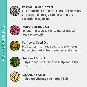 EVOLVh - Natural UltraShine Moisture Shampoo | Vegan, Non-Toxic, Clean Hair Care (8.5 fl oz | 250 mL)