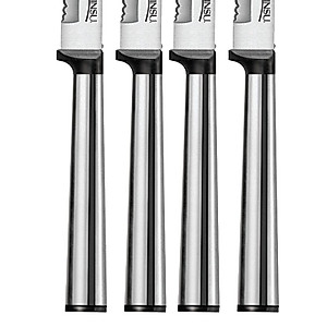 Ginsu Koden Series 4-Piece Stainless Steel Steak Knives Set – Serrated Knife Cutlery Set, 05217DS