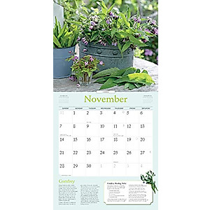 Rosemary Gladstar's Herbs Wall Calendar 2021