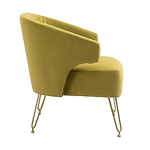 HOMEFUN Accent Chair for Living Room