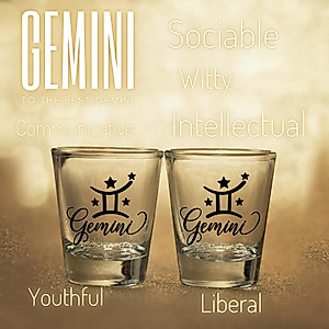 Onebttl Zodiac Sign Shot Glass Set of 2, Unique Birthday Gifts for Women, Men, Friend, Coworker, Wife, Husband- (1.5oz/45ml)- Gemini