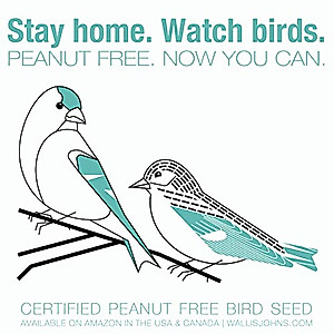 Wallis Johns Peanut Free Wild Bird Seed - Something for Everyone(2) Blend (6 lb)