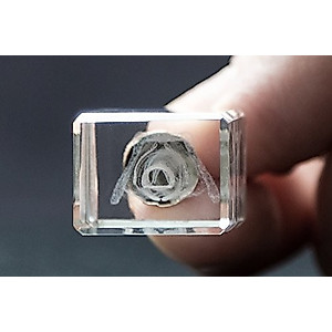 Larynx 3D Laser Crystal Key Chain, Anatomy, Voice Box, Singing, Adam's Apple