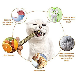 ELOPAW 3 Pack Silvervine Sticks Cat Toys for Indoor Cats Interactive Silvervine for Cats Catnip Toys for Indoor Cats Chew Toy for Cat Teeth Cleaning Kitten Teething