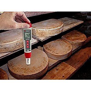 Triplett PH180 Waterproof PH Tester Pen, 0 to 14 pH