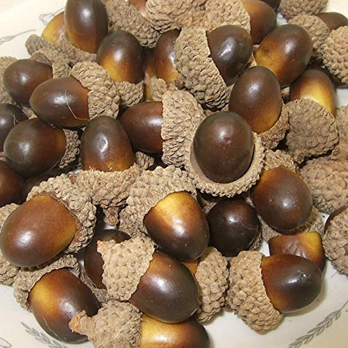 Onwon 100pcs Simulation Artificial Lifelike Small Acorn with Natural Acorn Cap for DIY Decoration Crafting Home House Kitchen Decor - Fake Fruit Props Acorns