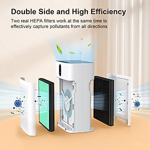 MORENTO 2 Pack HY4866 Genuine Air Purifier Replacement Filter for HY4866 Air Purifier, Pet Dander Version