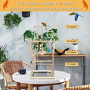 Ibnotuiy Pet Parrot Playstand Parrots Bird Playground Bird Play Stand Wood Perch Gym Playpen Ladder with Feeder Cups Bells for Cockatiel Parakeet (4 Layers)