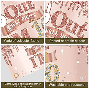 Large 10 Years Old Birthday Banner Decorations for Girls, Pink Rose Gold 10th Birthday Backdrop Party Supplies, Out Single Digits I'm 10 Bday Poster Background Sign Decor