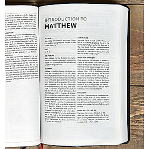 KJV Everyday Study Bible, Black LeatherTouch, Black Letter, Pure Cambridge Text, Study Notes and Comentary, Illustrations, Aricles, Charts, Easy-to-Carry, Easy-to-Read Bible MCM Type