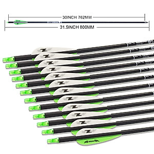 31inch Carbon Arrow Archery Targeting Practice Hunting Arrows for Compound & Recurve Bow with Removable Tips(Pack of 12) (Green White)