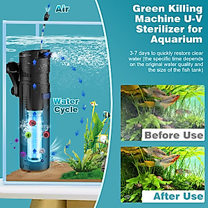 FishCheers Aquarium Filter for 25-198 Gal Fish Tanks, Green Killing Machine with 9W U-V Light Small Fish Tank Filters, Maximum Flow 185 GPH Submersible Aquarium Filter