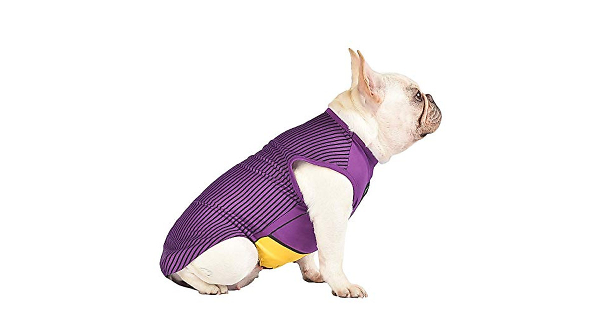 Joker Dog Costume - Adorable Halloween Outfit for XS Dogs