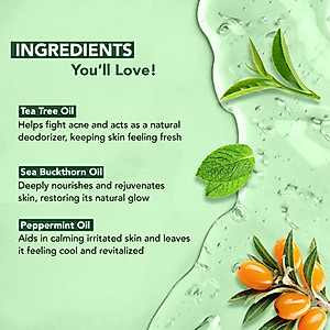 Botanic Hearth Tea Tree Body Wash, Helps Nail, Athletes Foot, Ringworms, Jock Itch, Acne, Eczema & Body Odor, Soothes Itching & Promotes Healthy Skin and Feet, Naturally Scented,16 fl oz 2 Pack