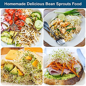 Anrialfu Sprouting Jar Growing Kit, Seed Sprouting Wide Mouth Mason Jars Kit with 2 Stainless Screen Lids, Tray, Stand, Blackout Sleeves, Broccoli Sprouts Growing Kit for Growing Bean Sprouts (NO JAR)