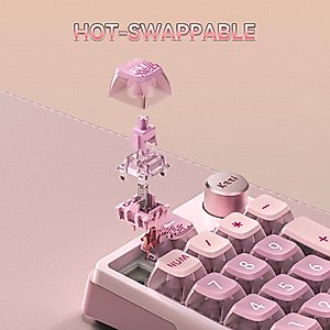 KZZI Mechanical Number Pad,Bluetooth5.0/2.4G/Type-C Wireless Numeric Keypad,RGB HotSwap Numpad with PBT Keycaps Rechargeable Gasket Number keypad for PC Laptop Desktop (Sakura Pink)
