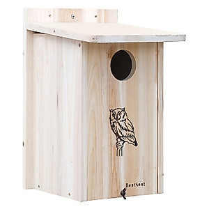 BestNest Premium Screech Owl/Kestrel House