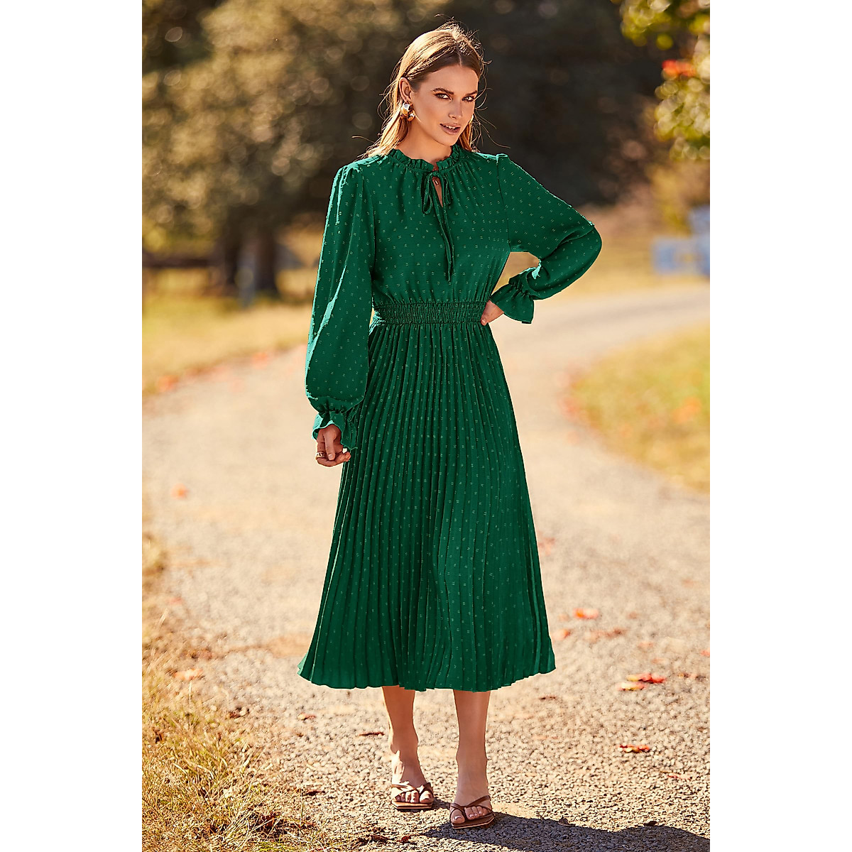 PRETTYGARDEN Women's 2024 Fall Midi Dress Casual Long Sleeve V Neck Swiss Dot Pleated A Line Flowy Dresses (Dark Green,Large)