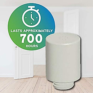 PureGuardian FLTDC20 Humidifier Demineralization Filter, Cartridge #2, 700 Hrs. Run Time, Prevents Release of Minerals Into Air, Fights White Dust, Easy Application to PureGuardian Humidifier