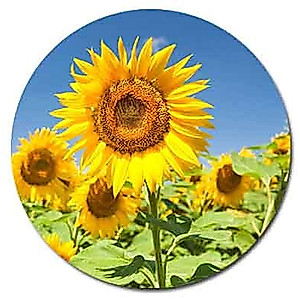 Blooming Sunny Sunflower Round Coaster Set of Drink- Made of Polyester Fabric and Recycled Rubber Coaster Set - Set of 4