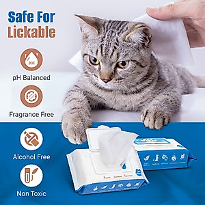 PUMBLER Pet Wipes for Dogs 100Pcs/1Pack – Unscented Dog Wipes with Vitamin E, Chamomile – Gentle Cat Wipes Ideal for Muddy Paws, Face, Dog Eye Wipes, Dog Ear Wipes – Resealable Lid Butt Wipes