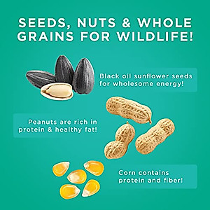 Audubon Park Critter Crunch Backyard Wildlife Food, Bird and Squirrel Food for Outside Feeder, 5-Pound Bag