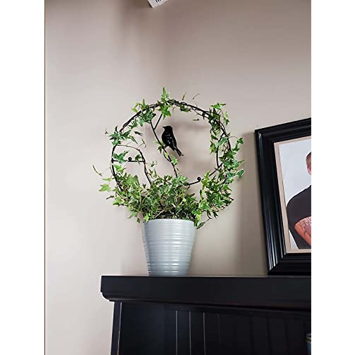 TKRSRK 2 Pcs Iron Garden Trellis for Climbing Plants, 13.6" Rust-Proof Small Trellis for Indoor Potted Plants, Round Circle Trellis with Bird, Metal Vine Plant Support Trellis for Vines - Black