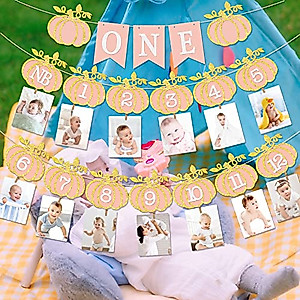 Pumpkin First Birthday Girl 12 Month Photo Banner for First Birthday Our Little Pumpkin is Turning One Decorations Pumpkin Birthday Decorations Girl