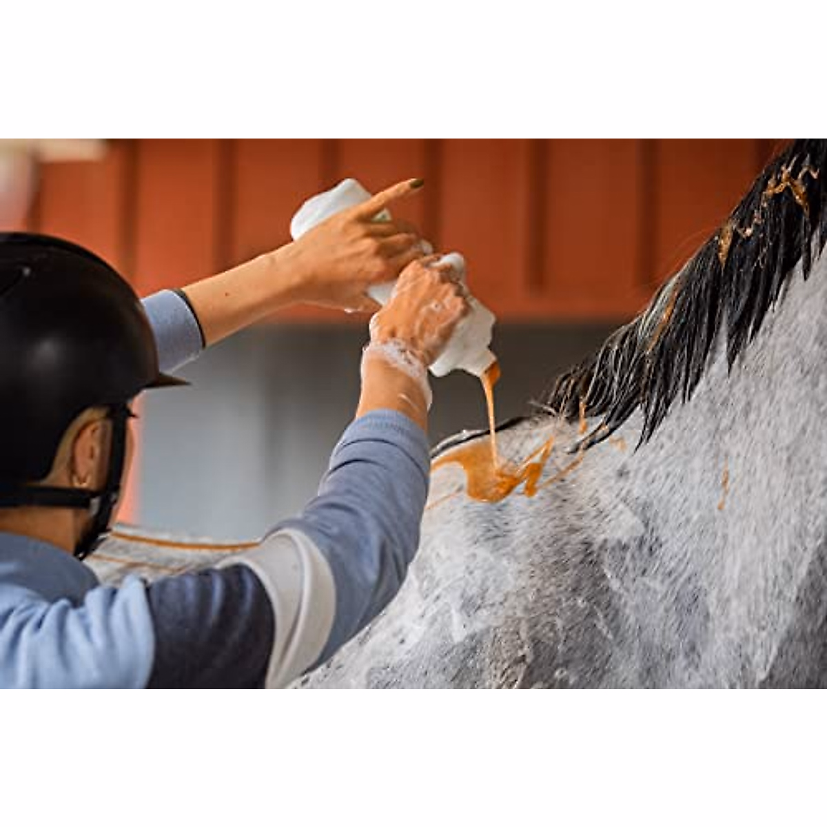 Kawell USA Natural Horse Shampoo for Skin and Coat Care - suitable for Minor Injuries, Cuts, Ulcers, Skin Allergies and Irritations, infused with Matico Healing Properties, 32 oz.