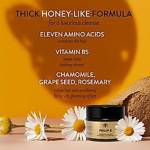 PHILIP B Russian Amber Imperial Shampoo, 12 oz (355 ml) | Restorative, Color-protective, Weightless Hydration