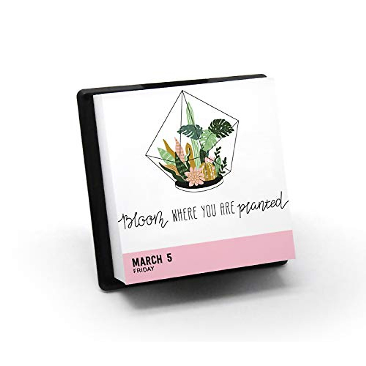 2021 Instant Happy Notes Boxed Calendar: 365 Reminders to Smile and Shine! (Happiness Daily Calendar, Inspirational Gift for Women, Desk Gift for Him)