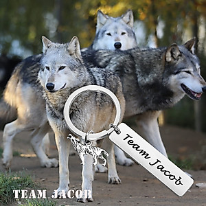 PLITI Team Jacob ky (Team Jacob ky)